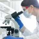 Images - Biotechnology.jpeg